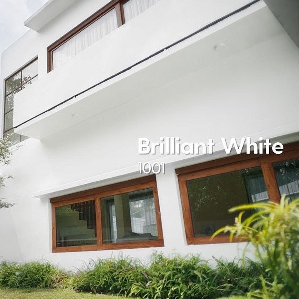 Nippon Paint Weatherbond Water-Based Paint For Exterior 18L (Brilliant ...