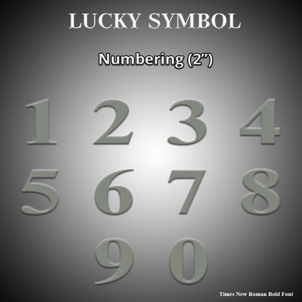 Lucky Symbol Numbering Arcylic Base with Stainless Steel Hairline Finish 2"