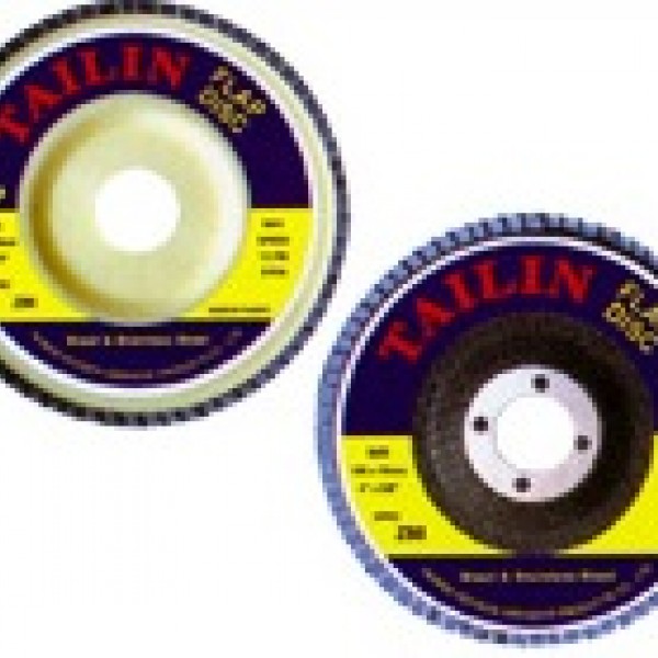 Tailin Flap Disc Z80 (100mm x 16mm)