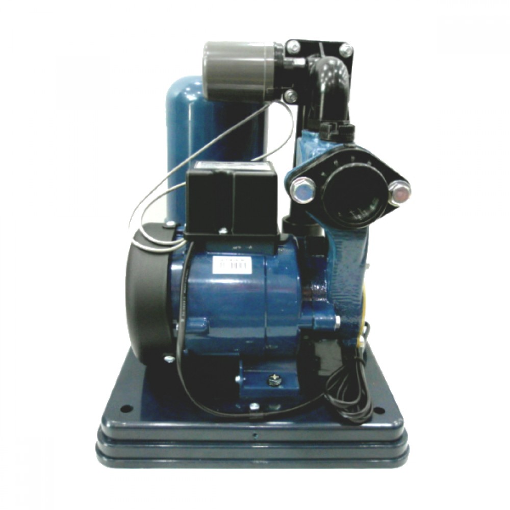 Panasonic A-130JACK Automatic Water Pump 125W 0.17HP
